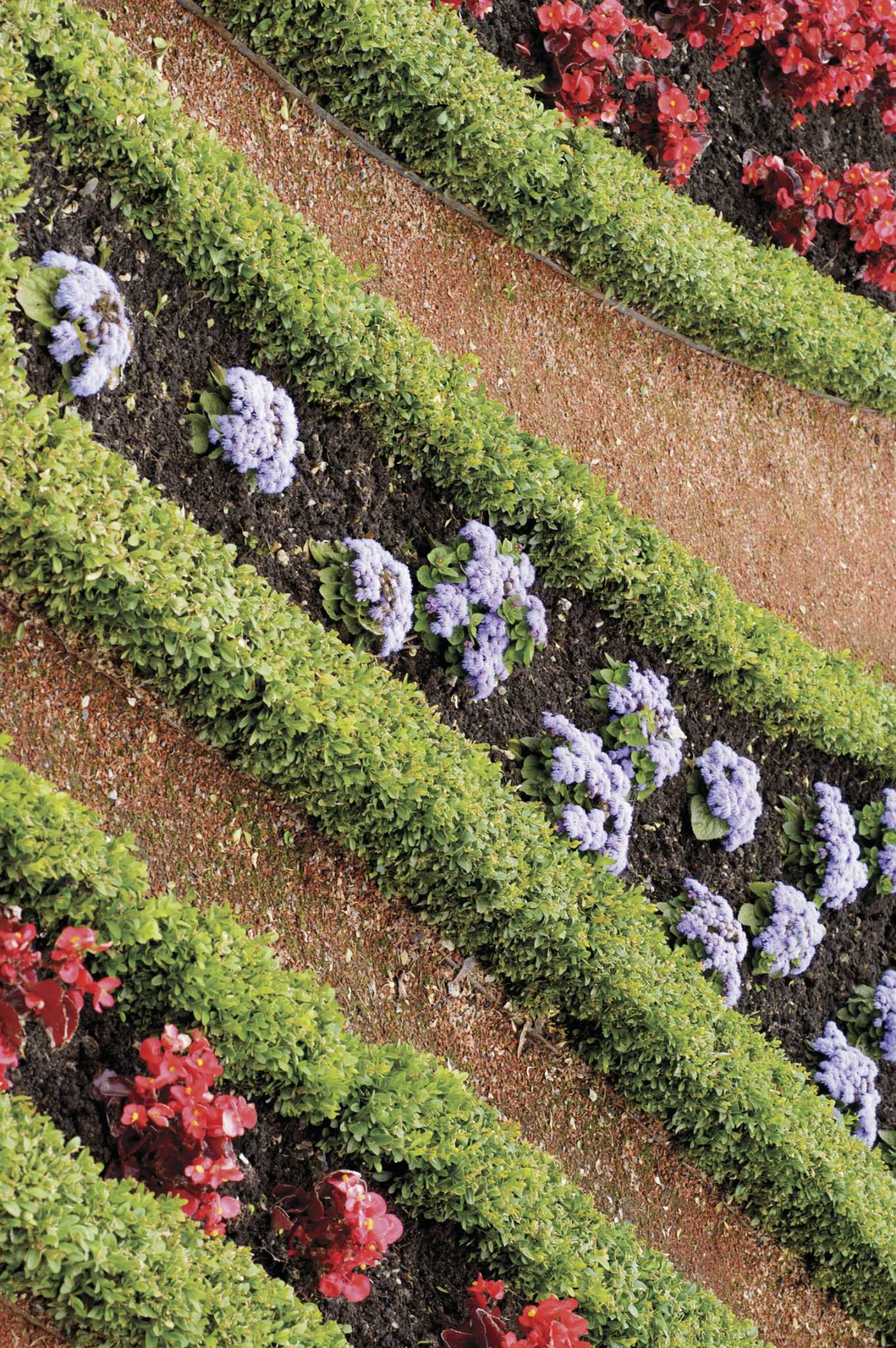 L Shaped Ranch Landscaping