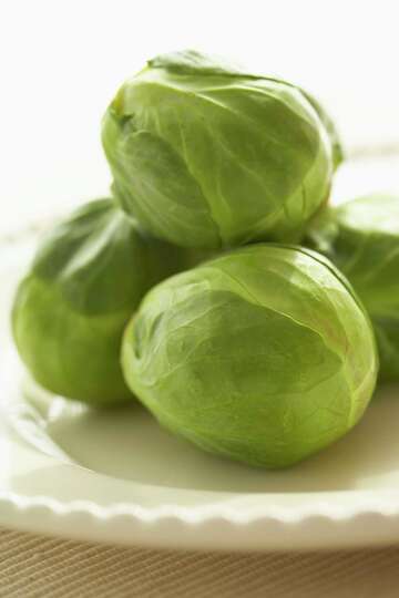How to Naturally Control Aphids on Brussels Sprouts