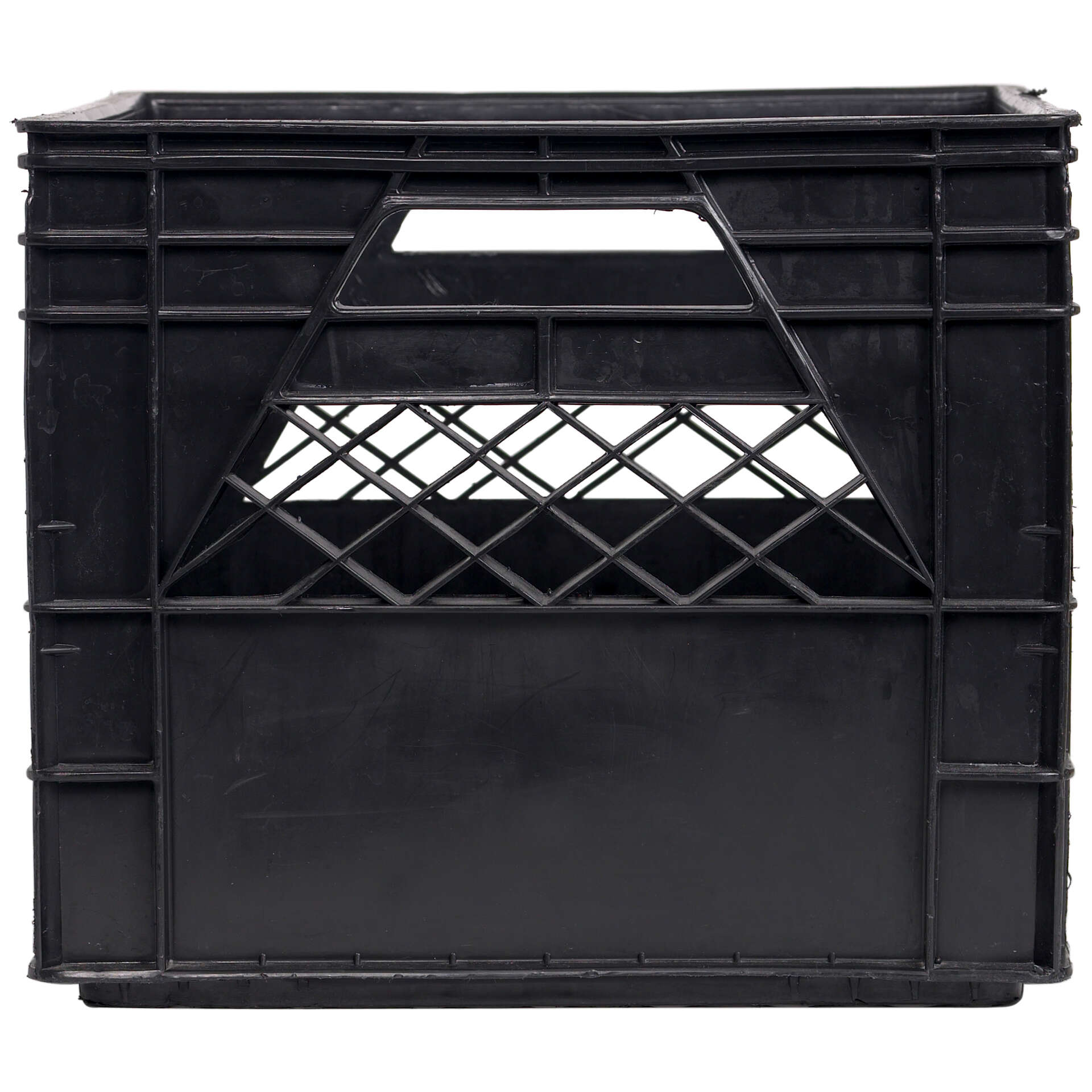 How to Grow Bulbs in Crates