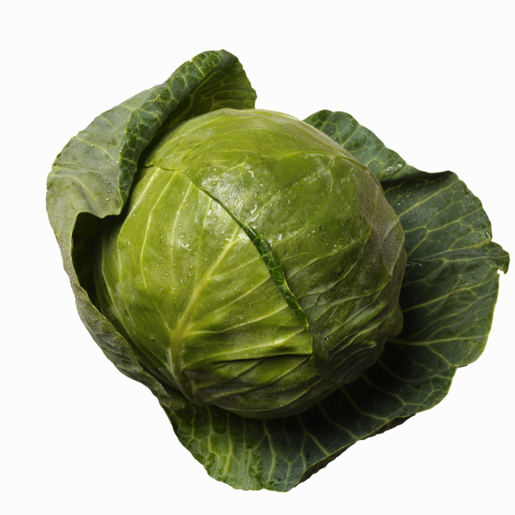 How to Grow Cabbage in Containers