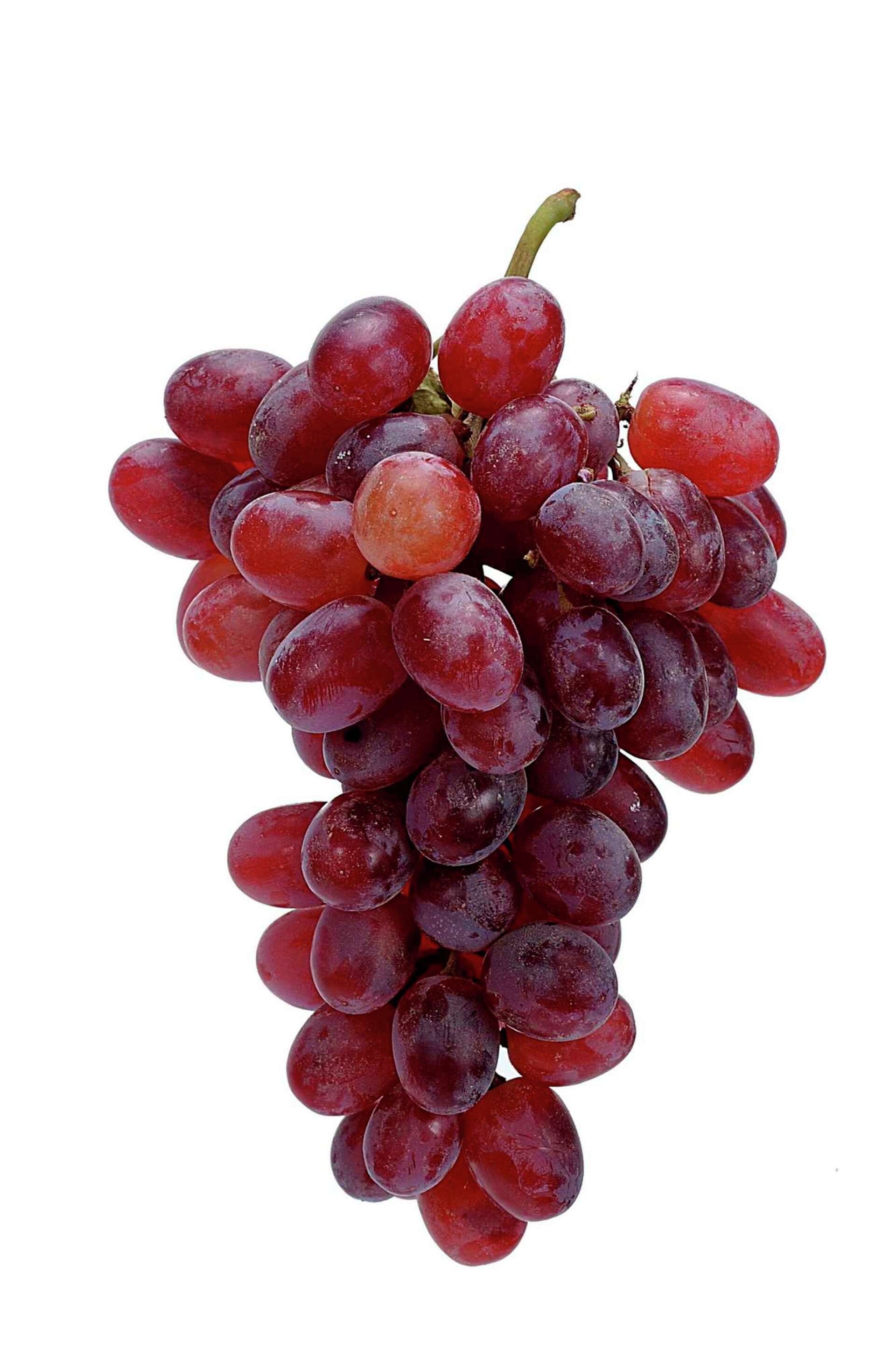 How to Grow Candice Grapes