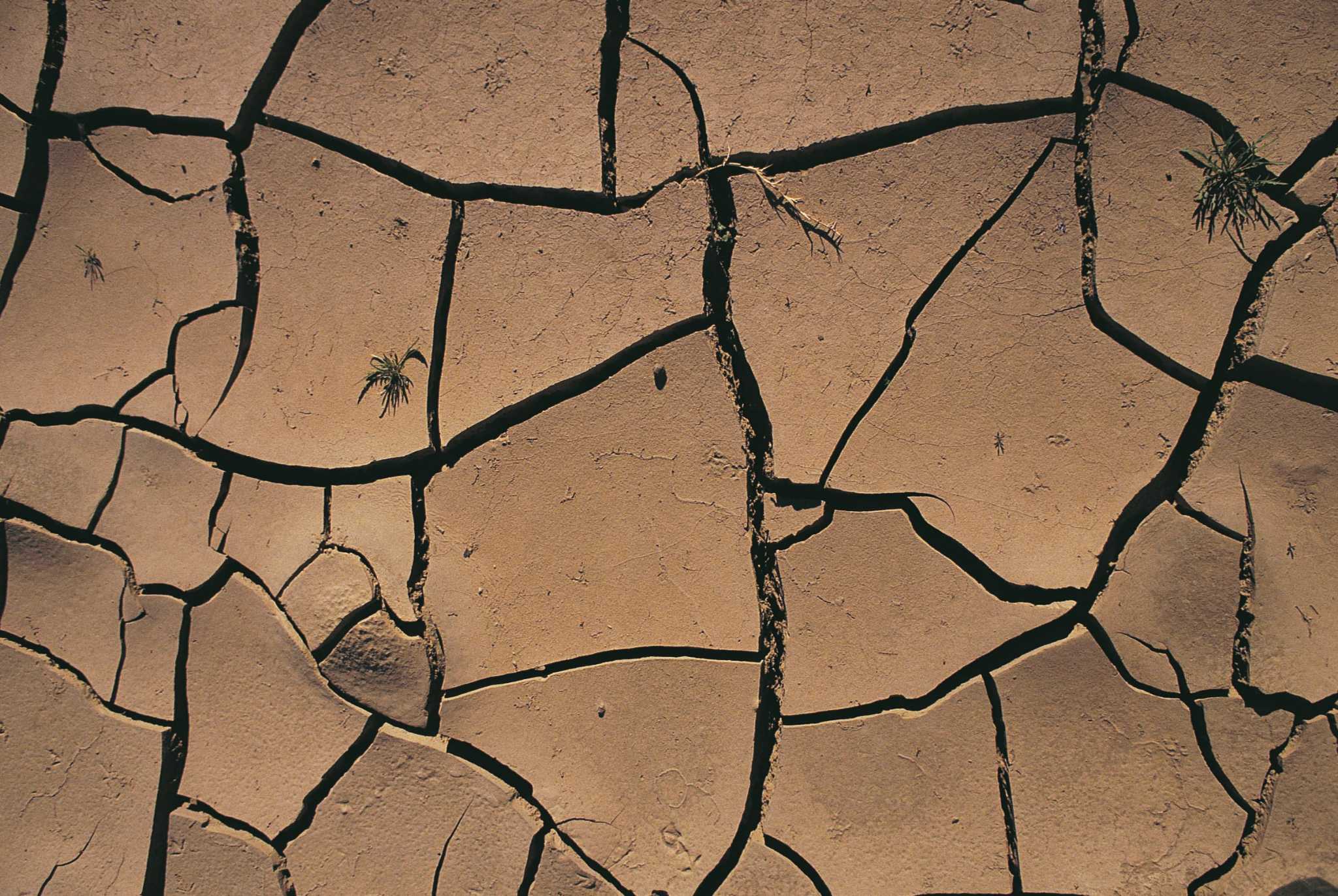 Can I Use a Rototiller in Clay?