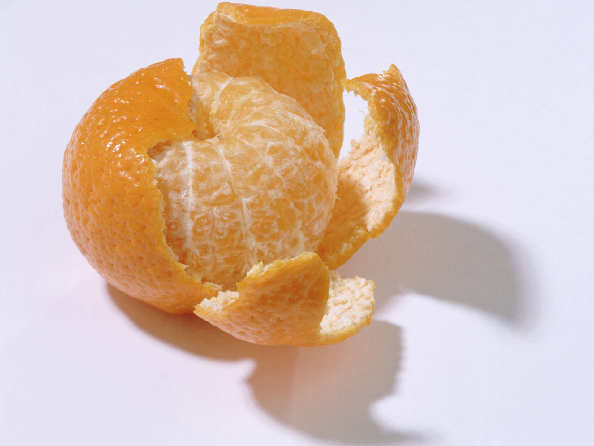 How to Grow Clementine Plants