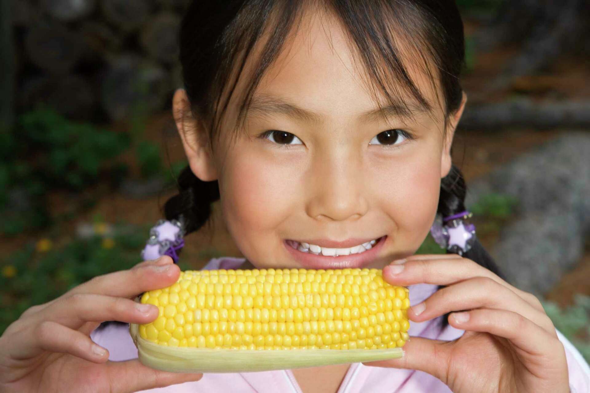 How to Propagate Corn