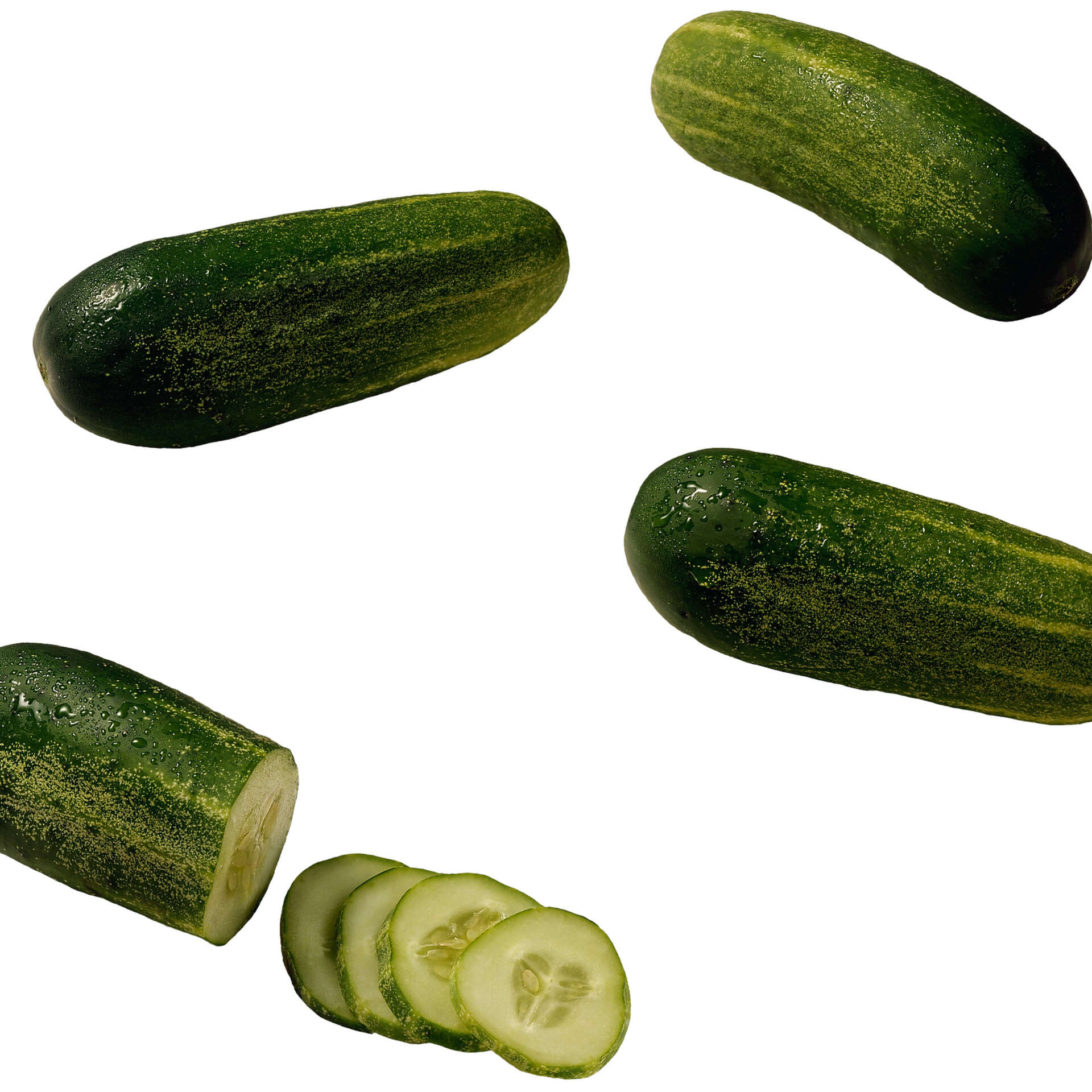 How to Grow a Cucumber Bush Pickle