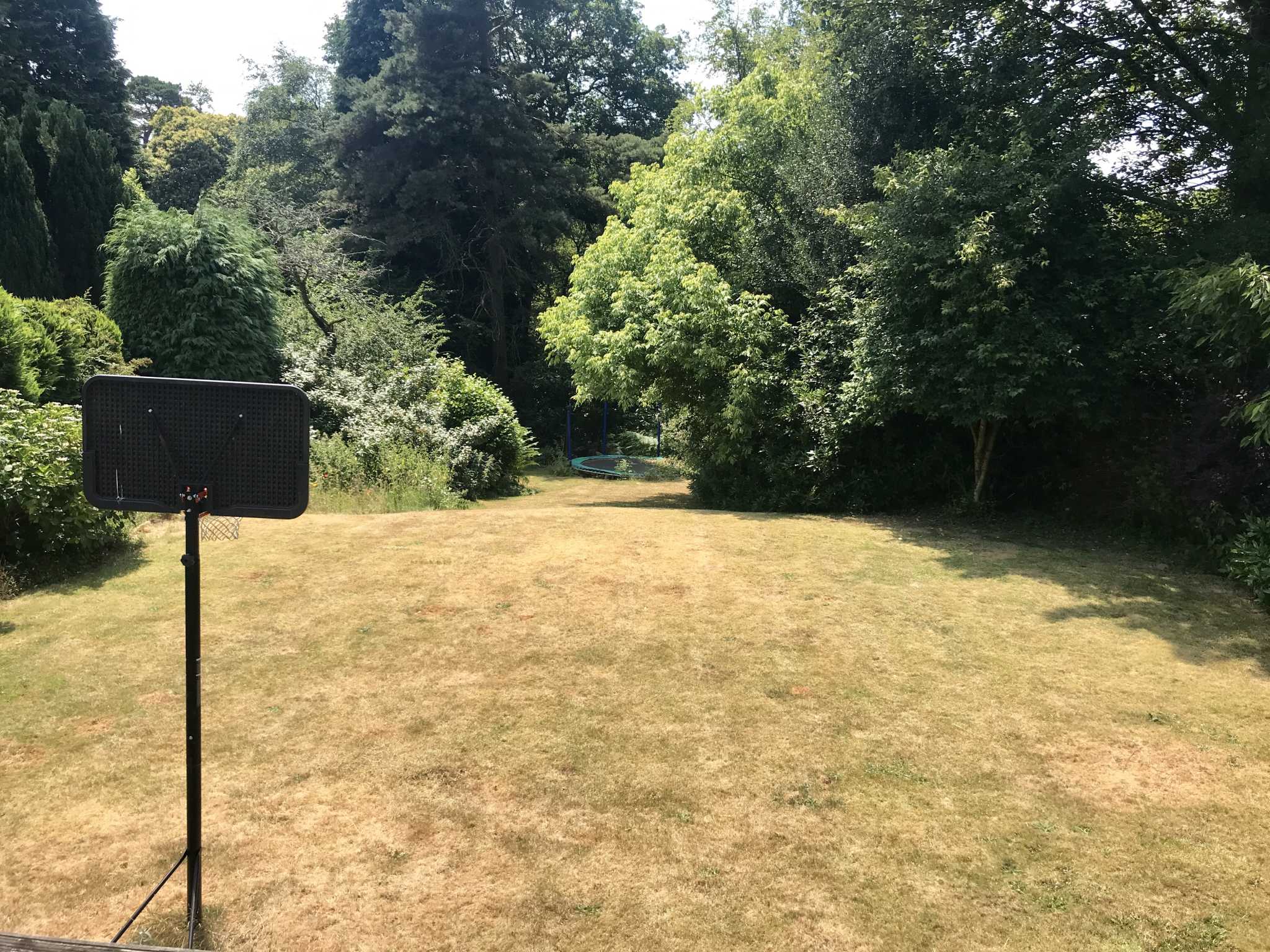 How to Care for Burned Grass