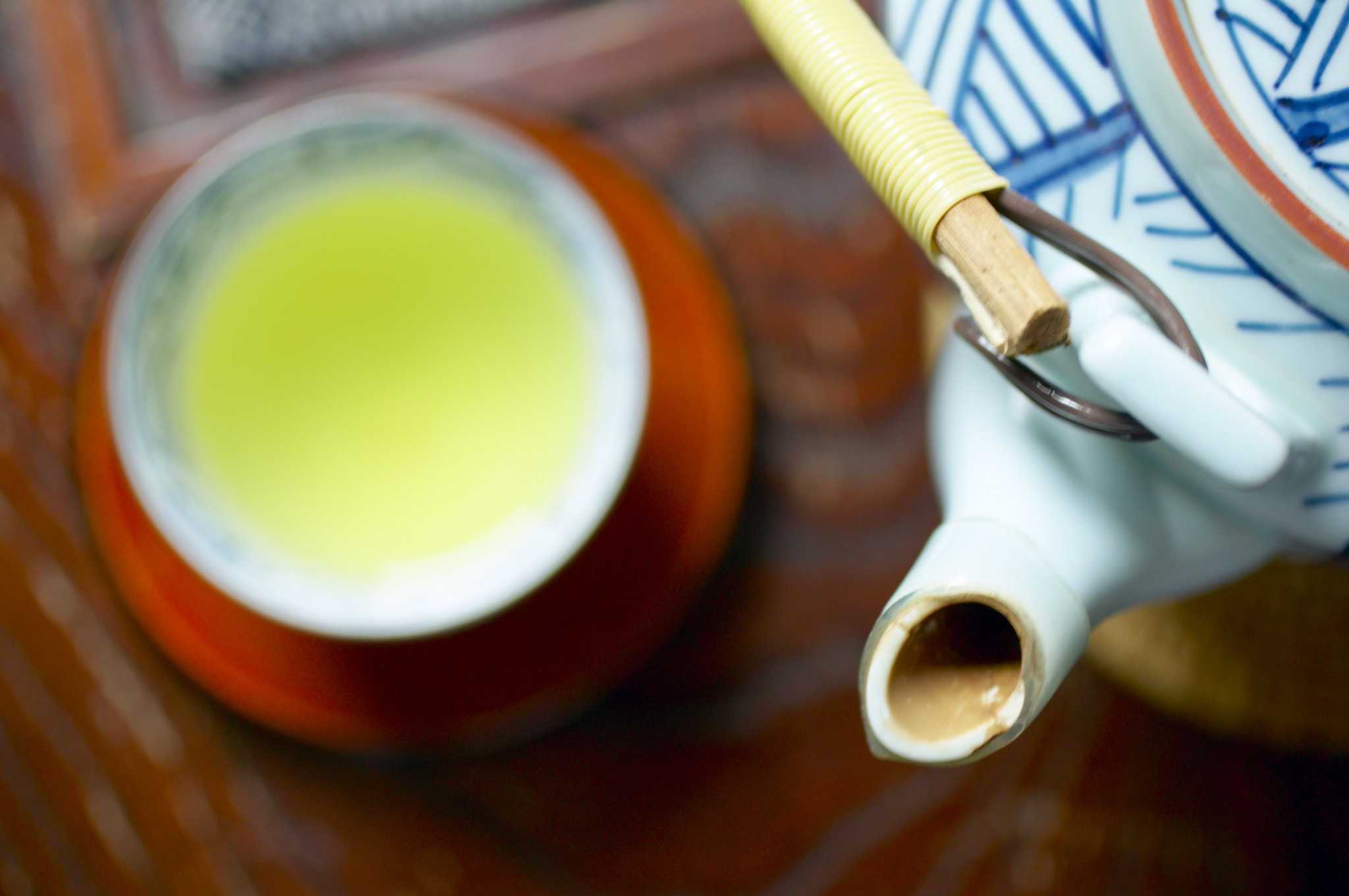 How to Care for a Chinese Jasmine Plant