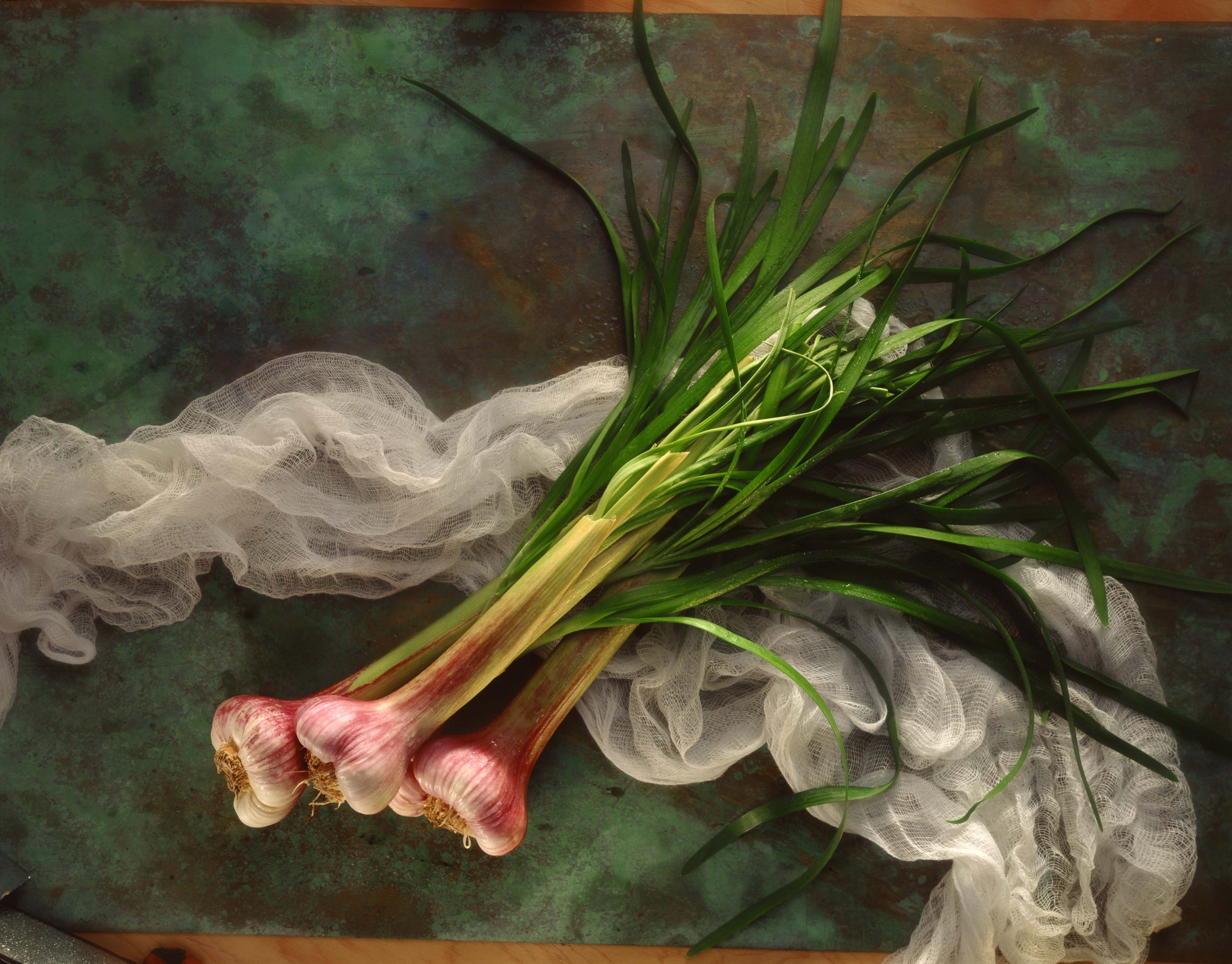 How to Propagate Garlic