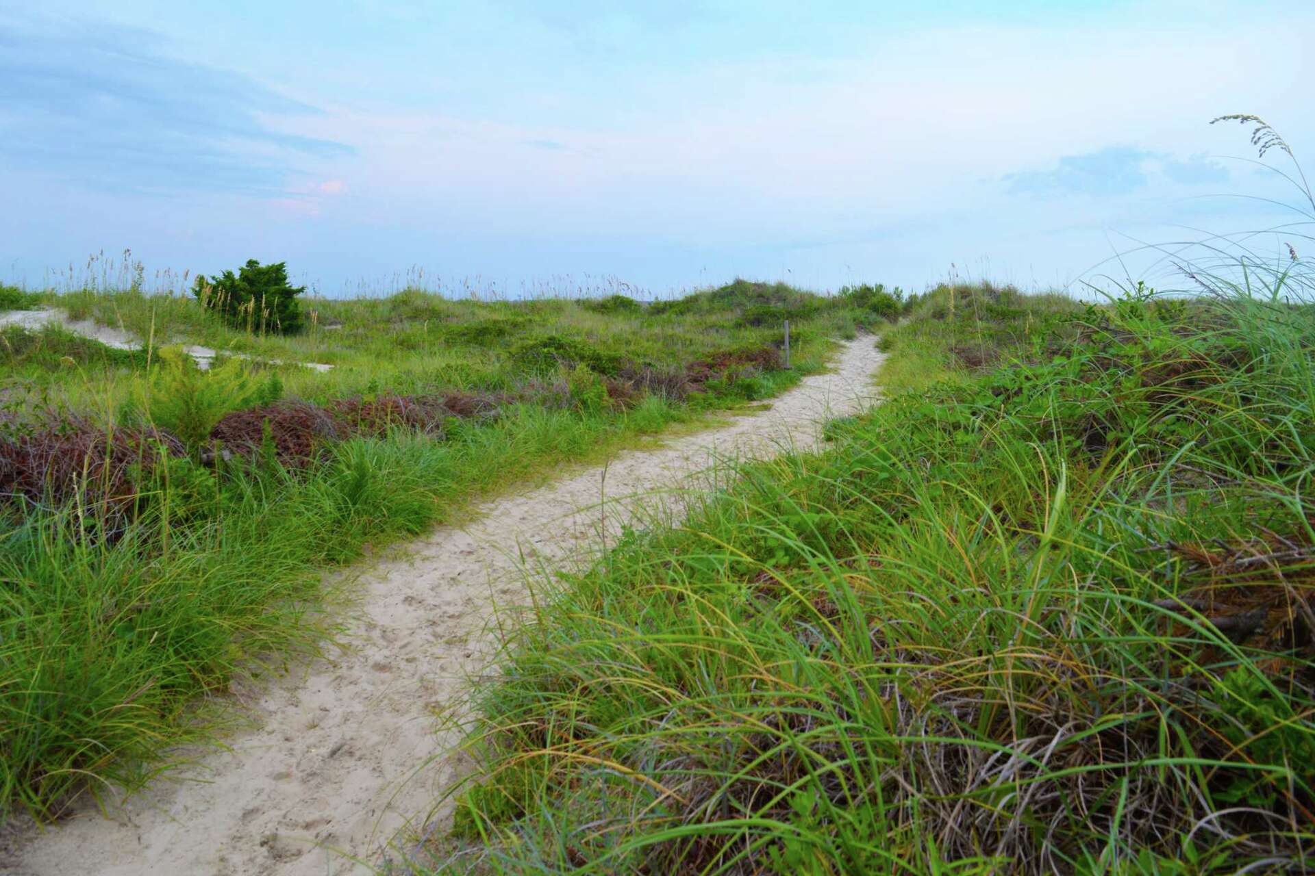 How to Grow Grass in Sand or Gravel Conditions