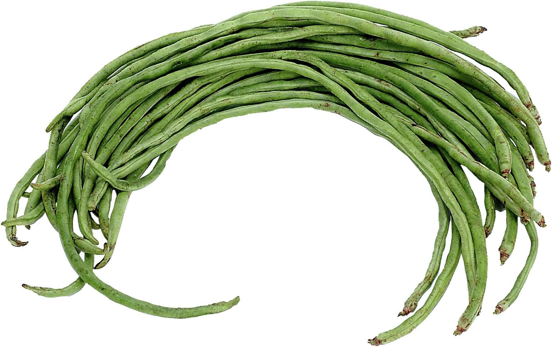How to Grow Haricot Verts