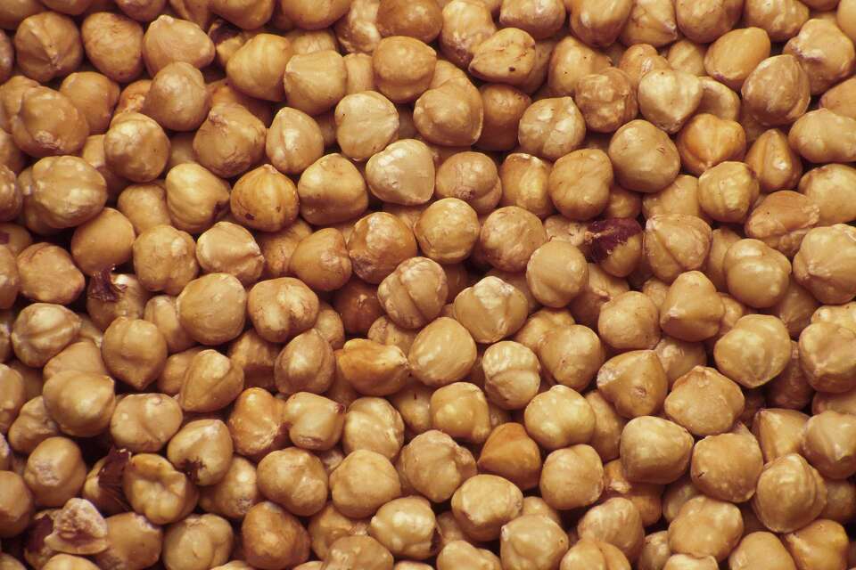 How to Grow Hazelnuts From Seeds