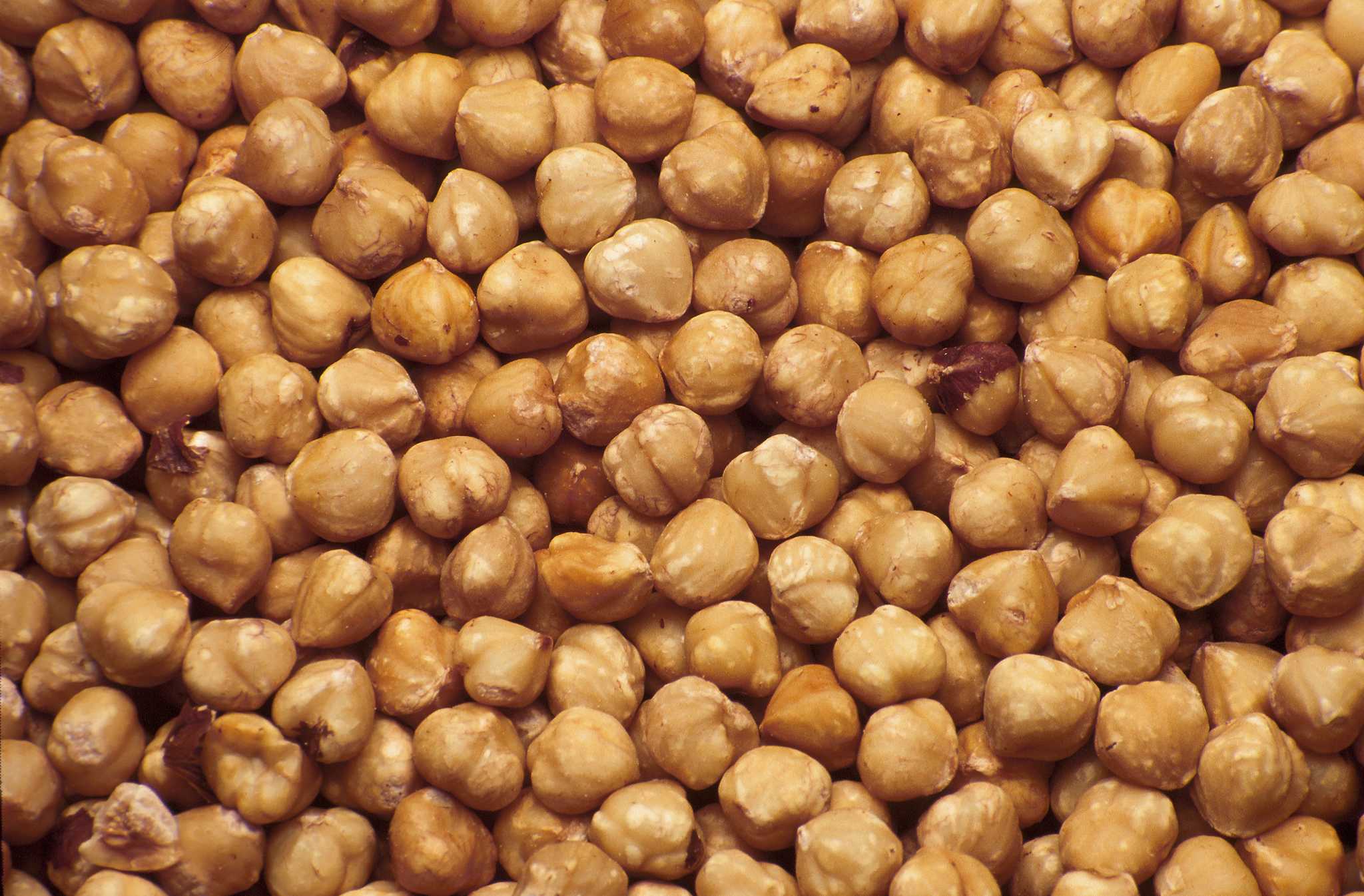 Problems With Hazelnut Shell Mulch