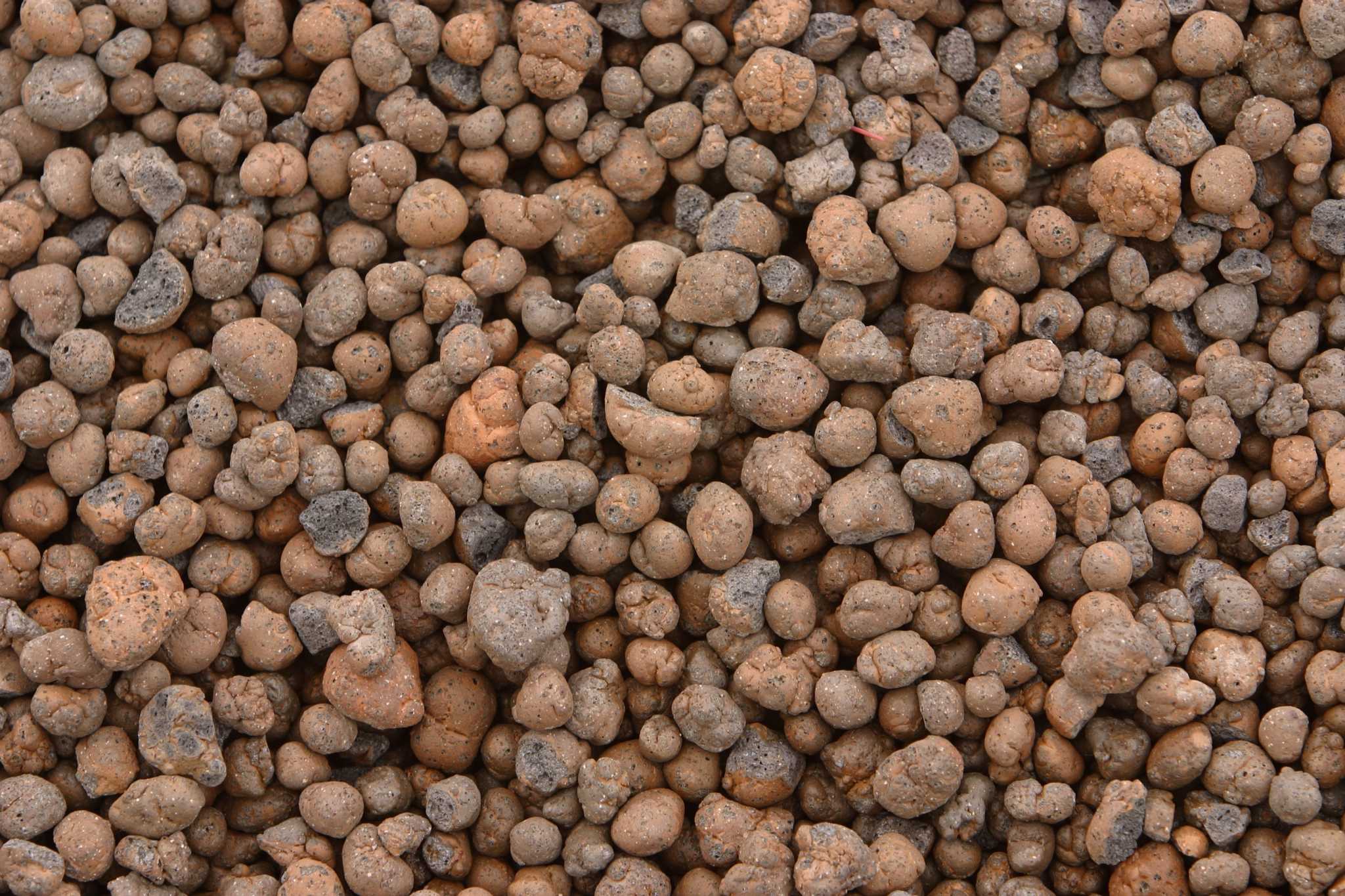 Growing with Clay Pebbles