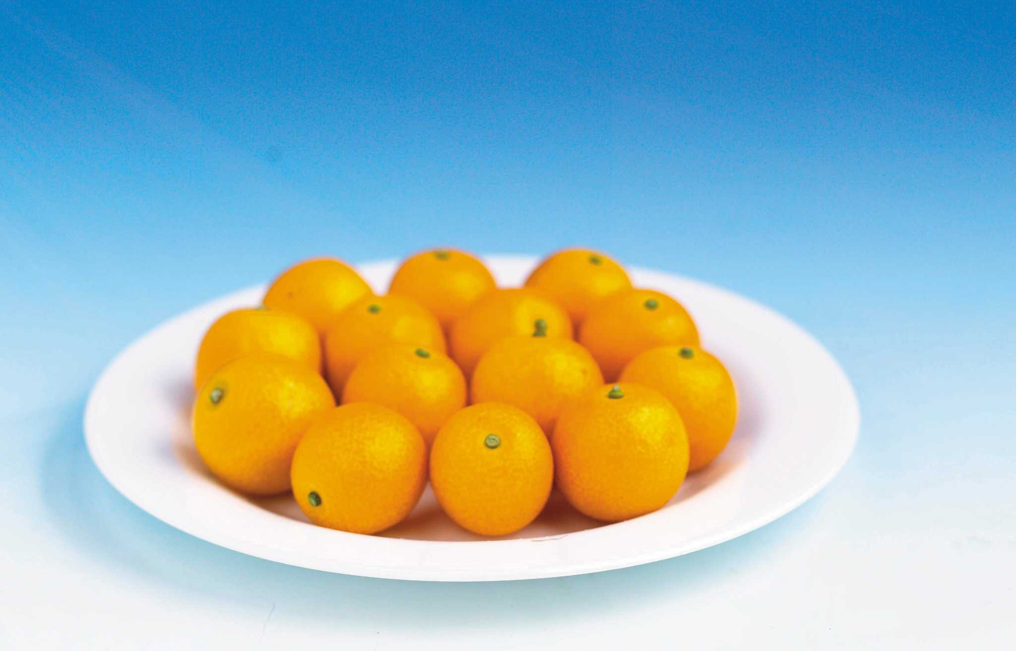 How to Care for a Kumquat Tree