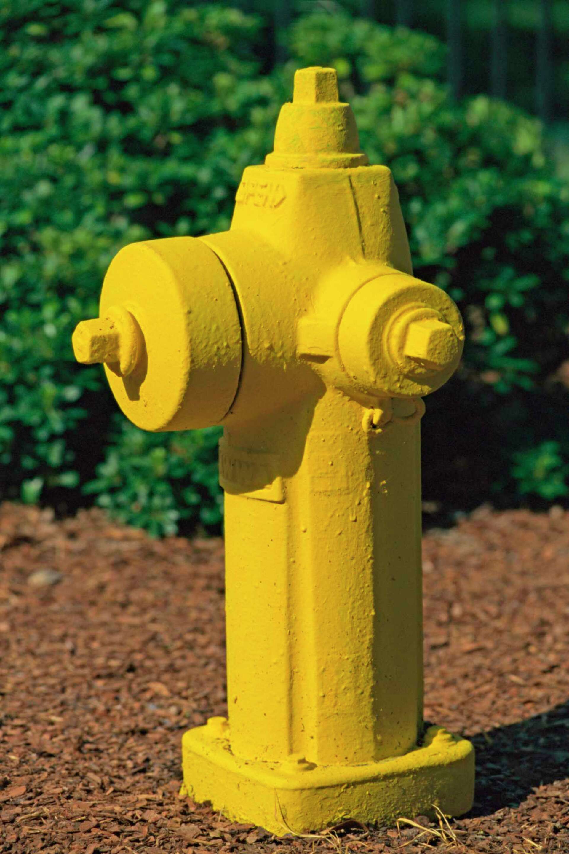 Growing Plants Next to Fire Hydrants