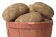 How to Build a Potato Bucket