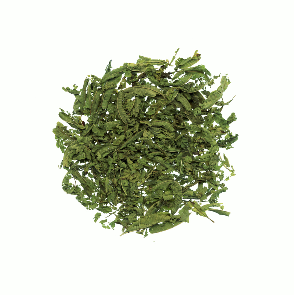 Care of a Lemon Verbena