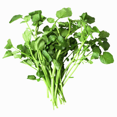 How to Identify Watercress