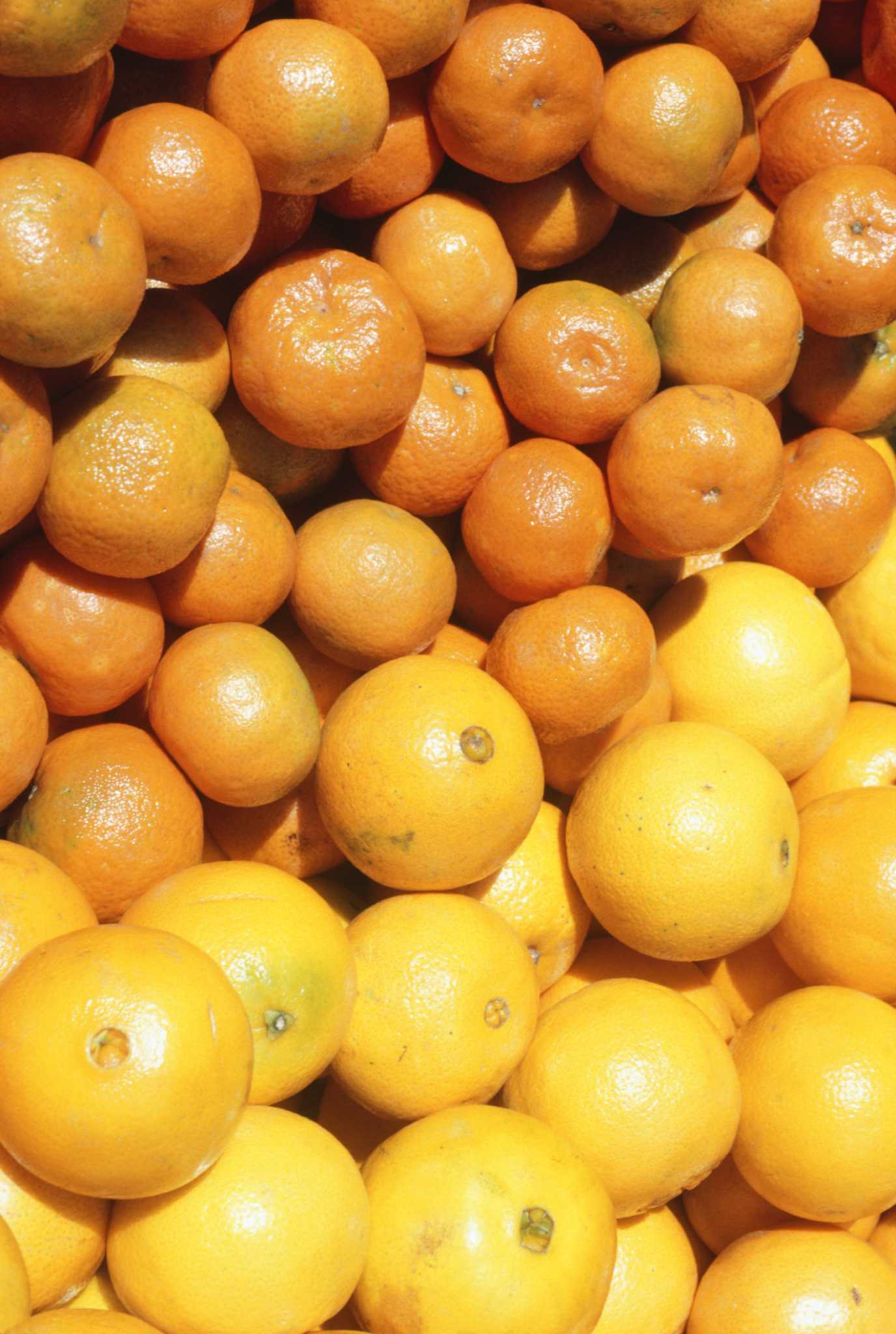 How to Care for a Mini Grapefruit Tree