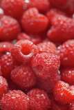 How to Grow Latham Red Raspberries