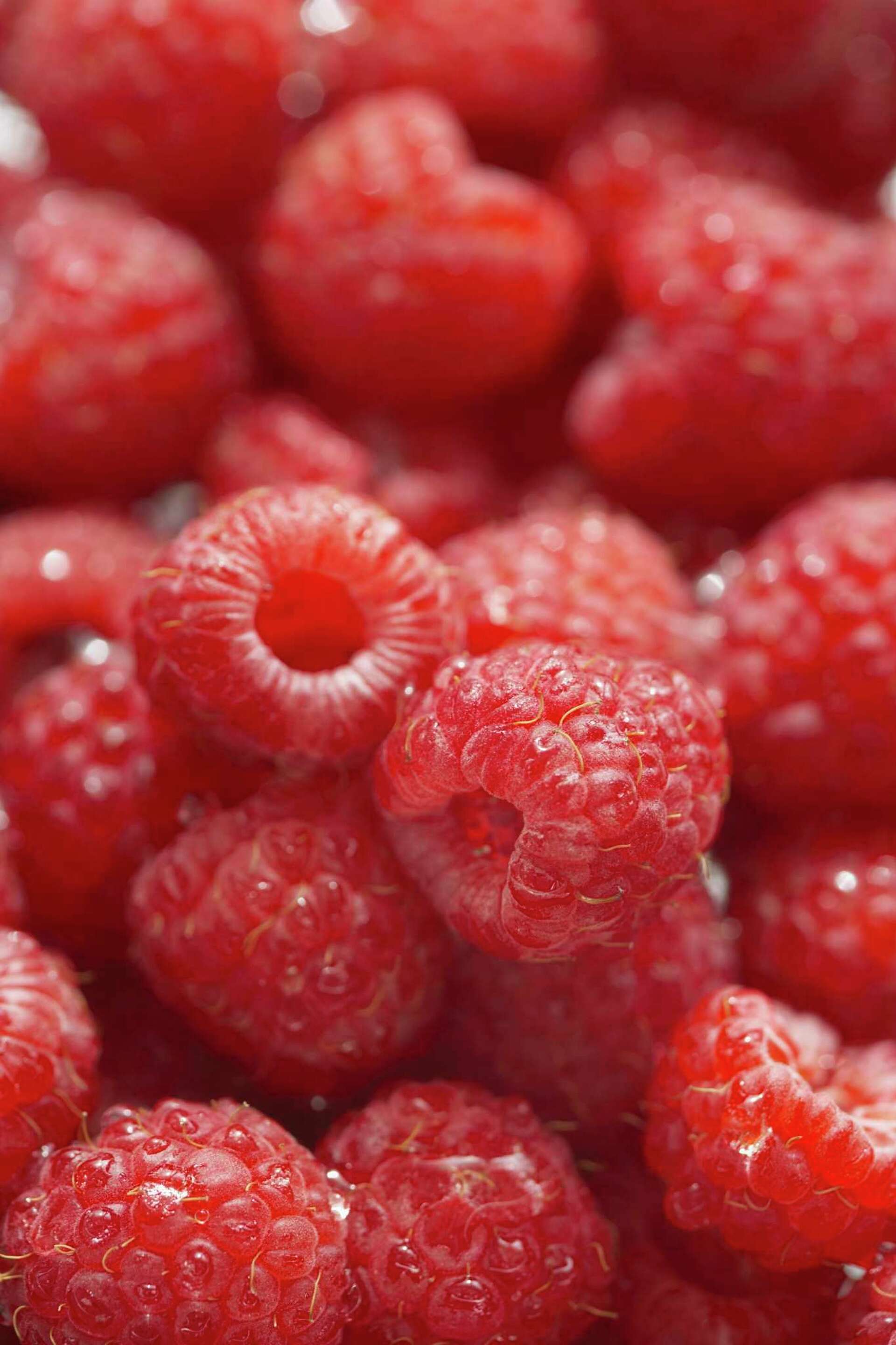 How to Grow Latham Red Raspberries