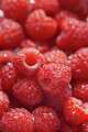 How to Grow Latham Red Raspberries