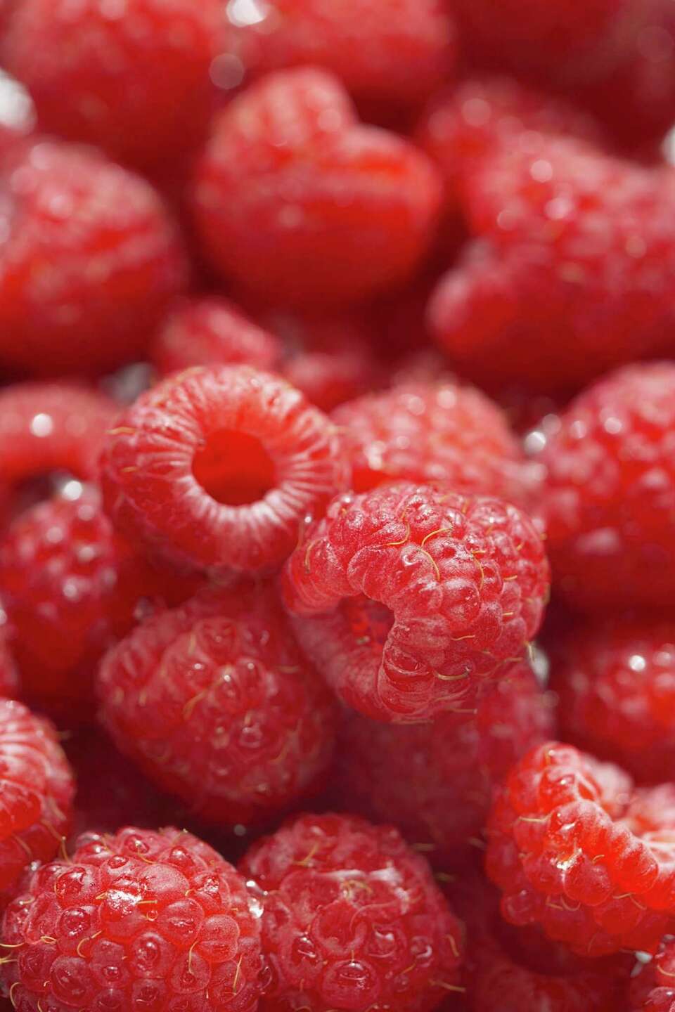 How to Grow Latham Red Raspberries