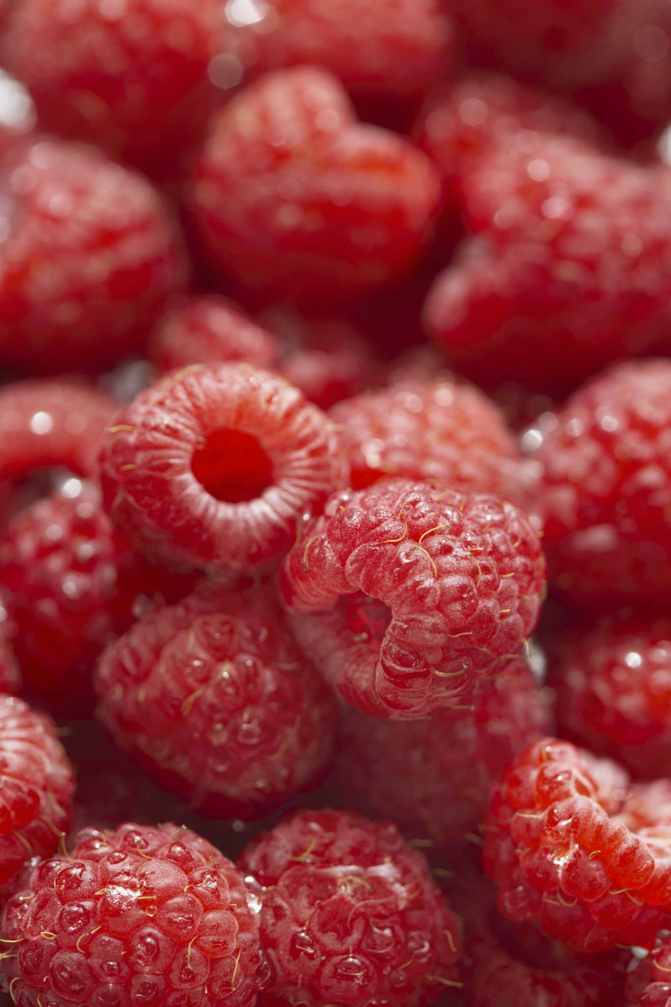 How to Grow Latham Red Raspberries