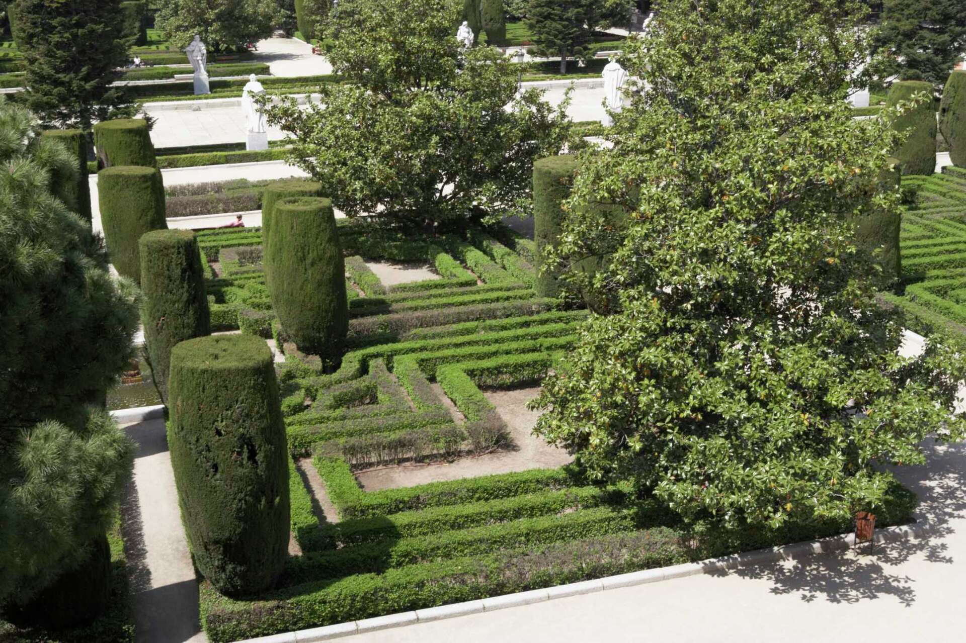 Plants for Hedge Sculptures