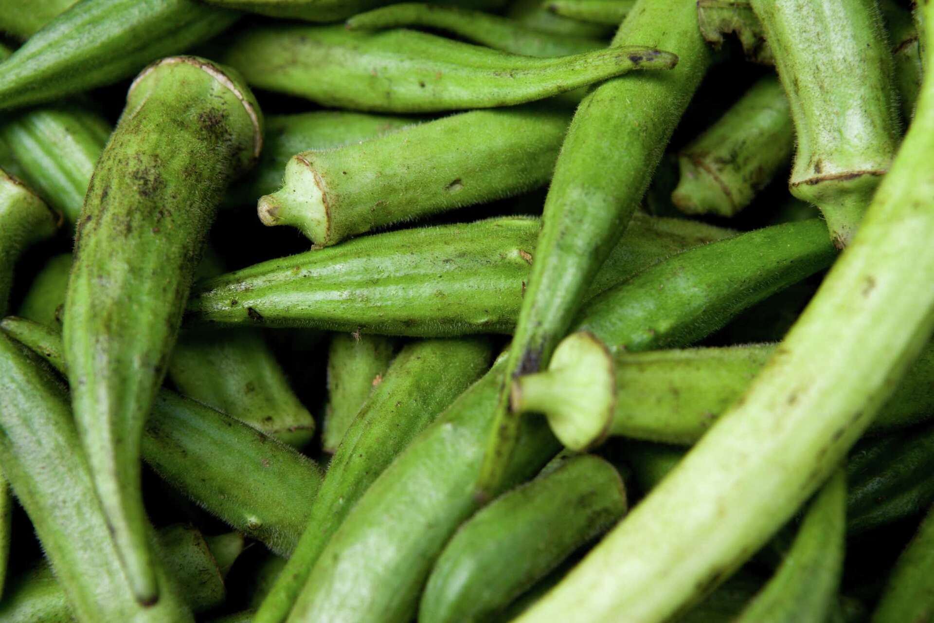 How to Grow Okra Indoors