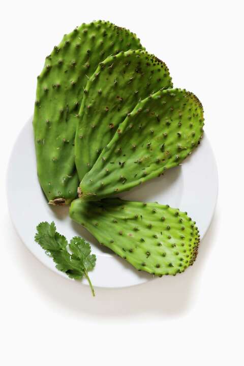 How to Plant Nopales