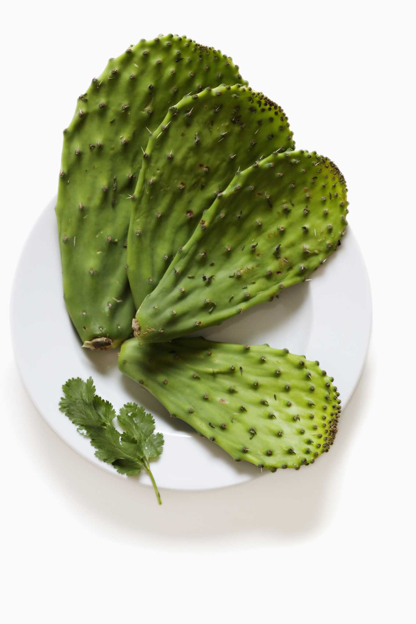 How to Plant Nopales