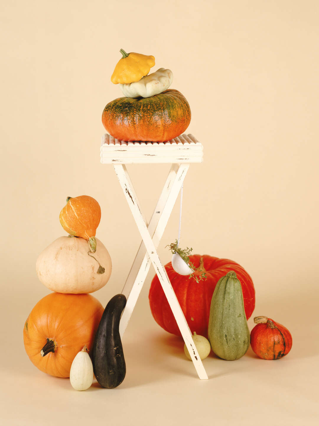 How to Grow Pennsylvania Crookneck Squash