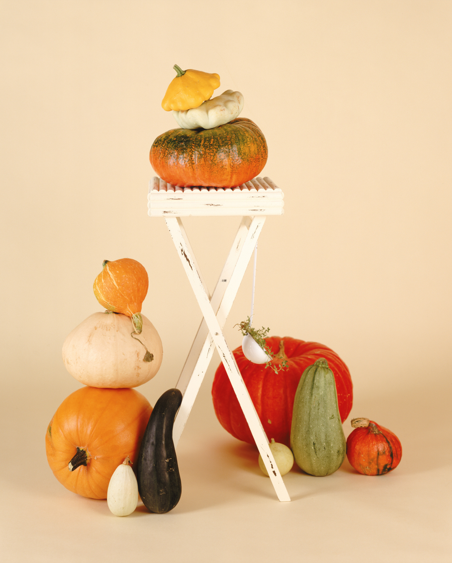 How to Grow Pennsylvania Crookneck Squash