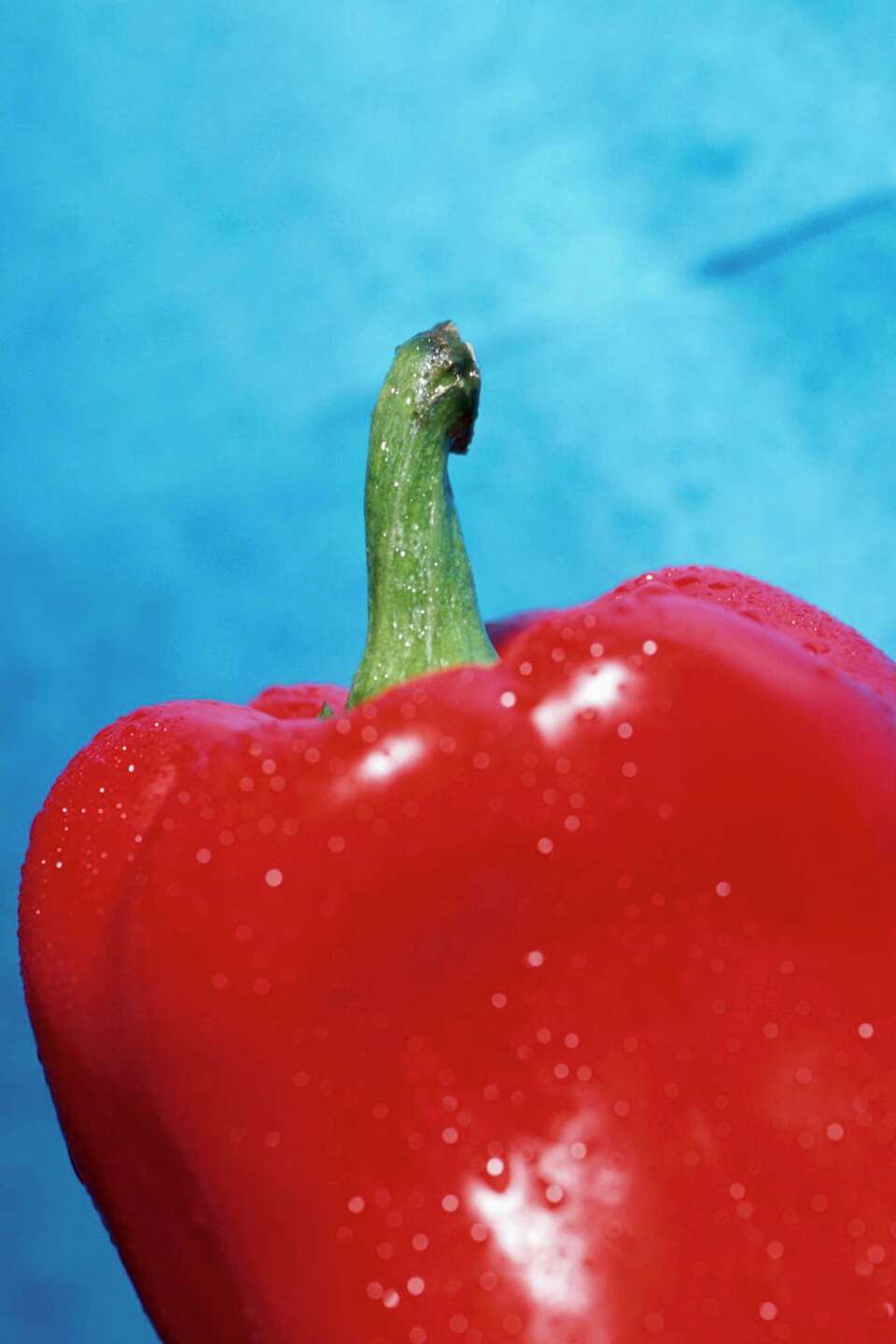 How to Grow Red Bell Peppers Indoors
