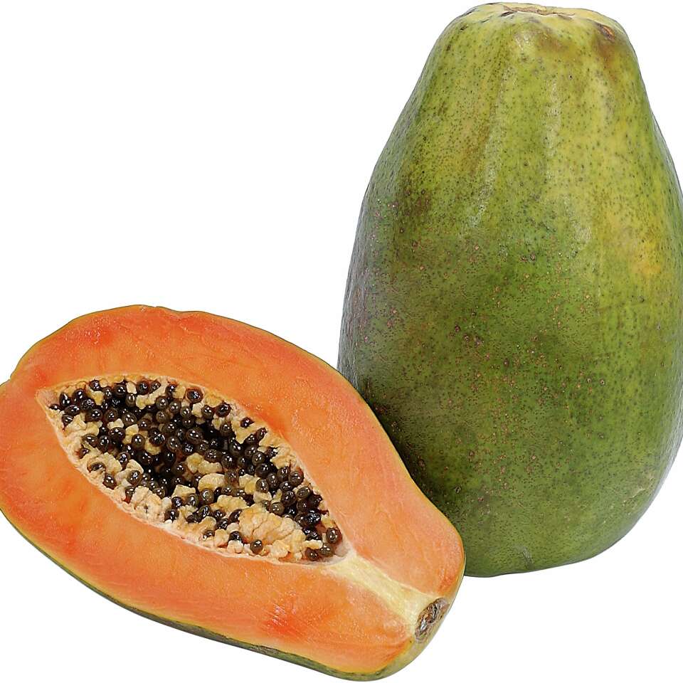 How to Grow Red Maradol Papaya
