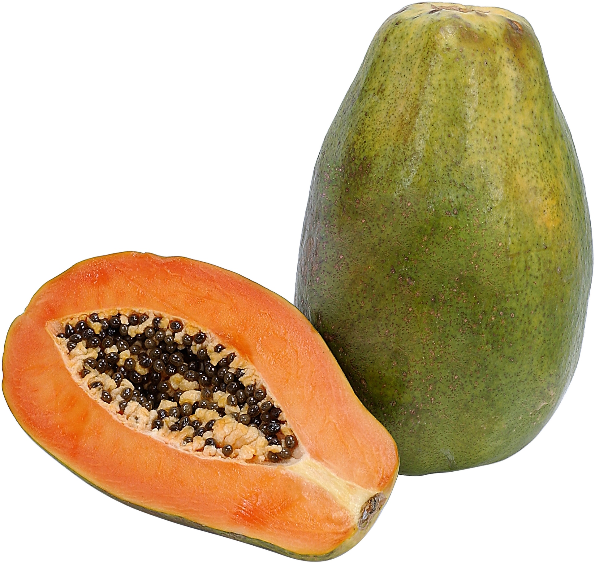 How to Grow Red Maradol Papaya