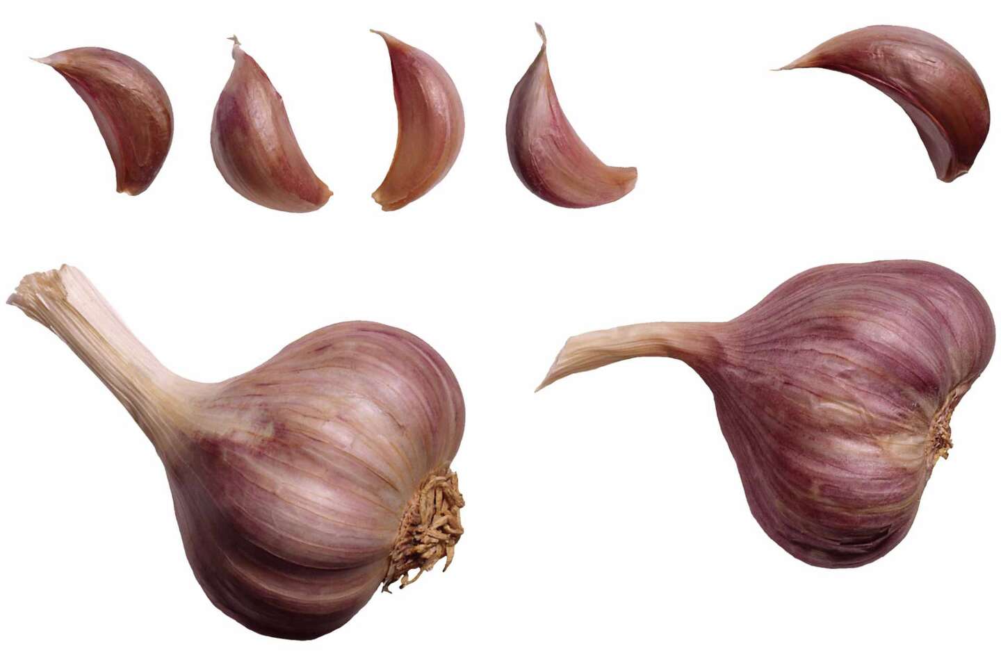 How to Grow Roja Garlic