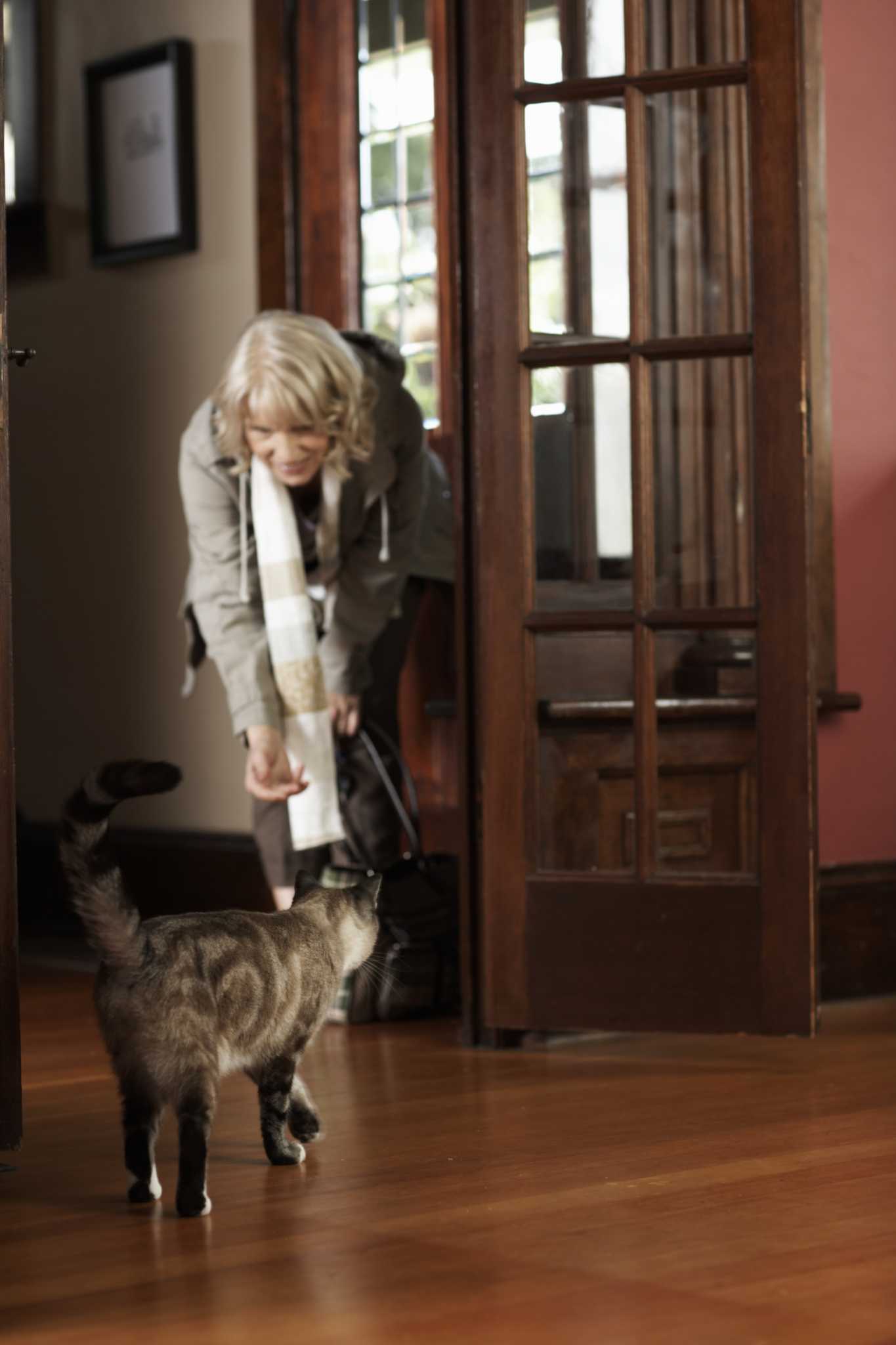 What to Do With My Cats While Trying to Sell My Home