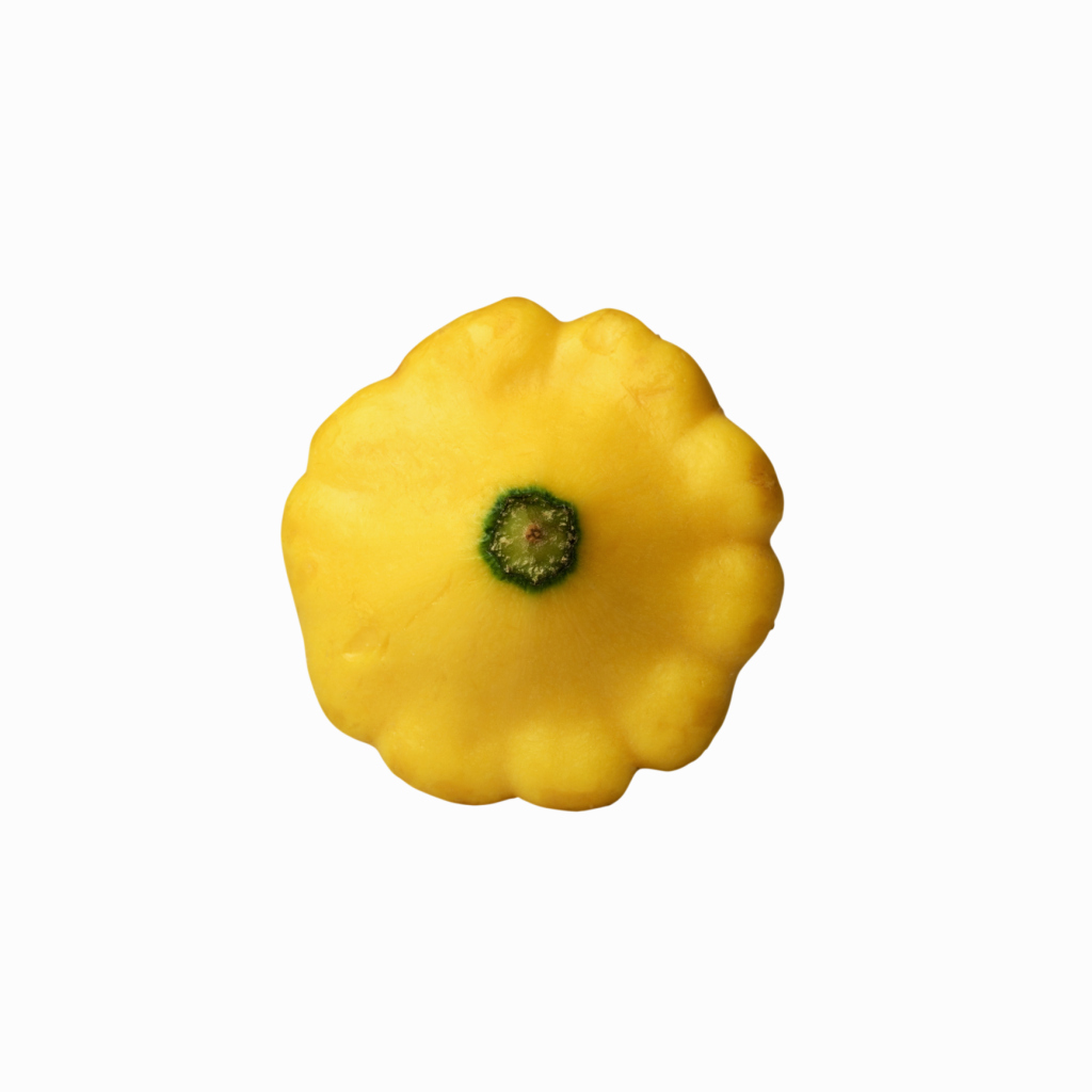 How to Grow Scalloped Squash