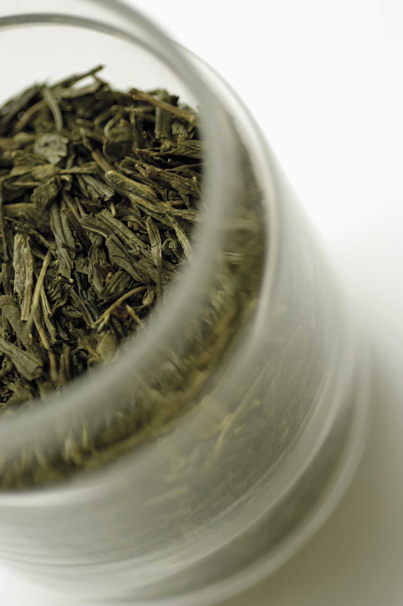 How to Grow a Tea Plant