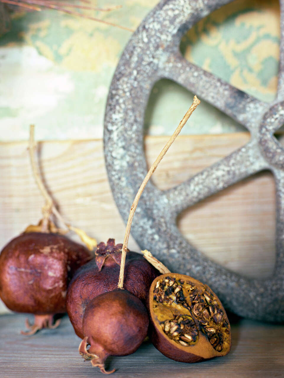 Purple and Black Pomegranate Trees