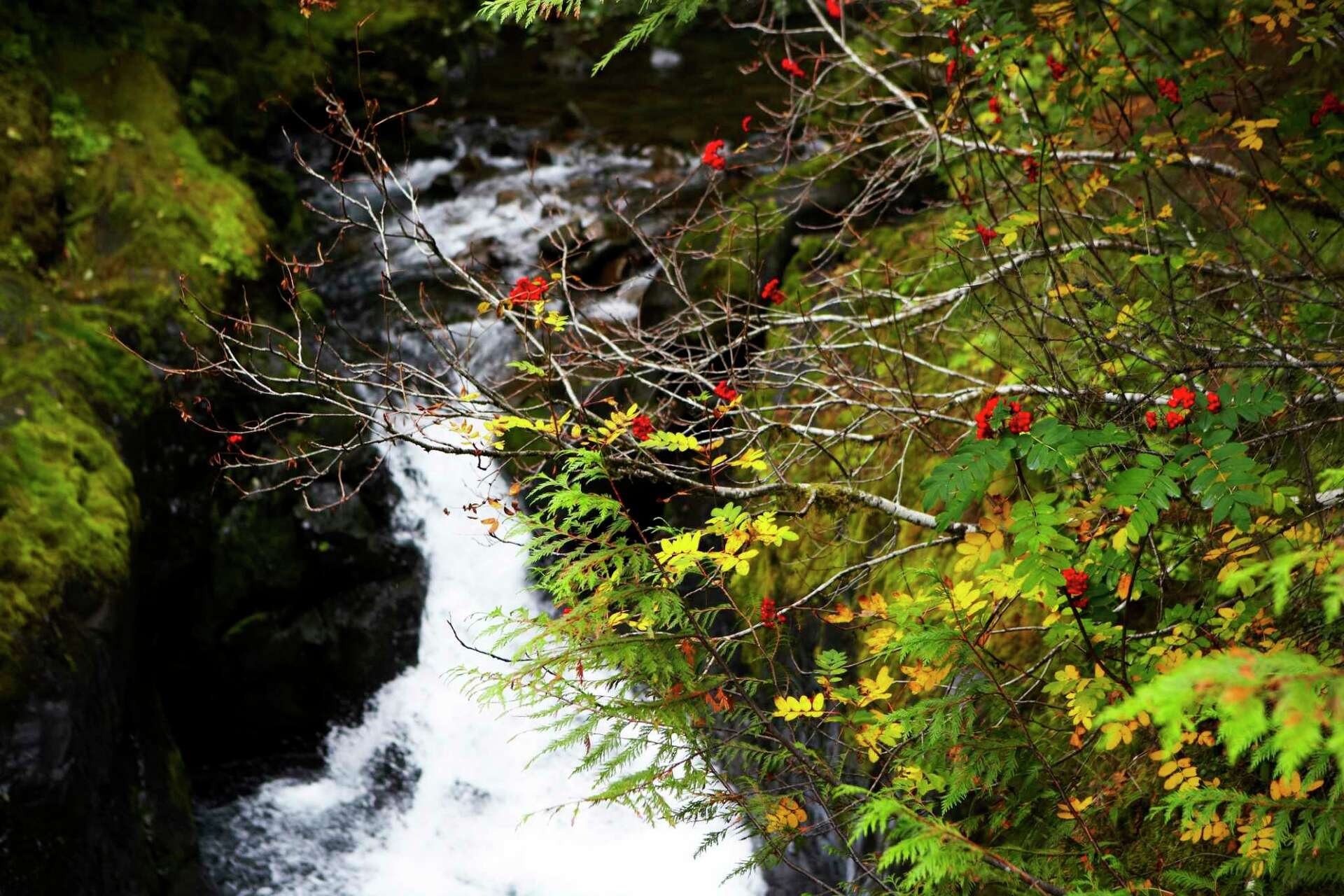 How to Keep the Bank on My Creek From Eroding Away