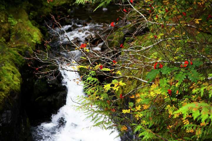 How to Keep the Bank on My Creek From Eroding Away