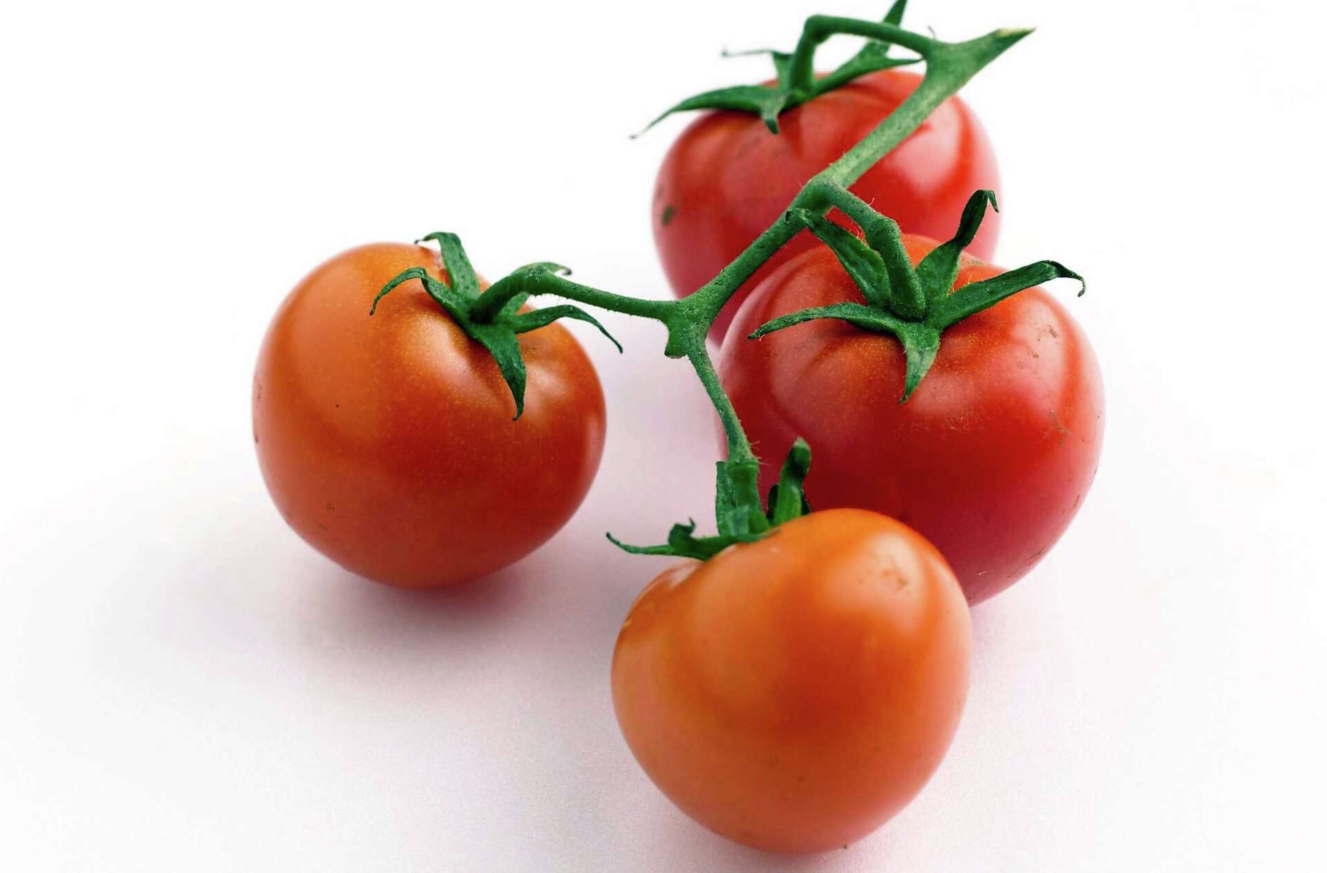 How to Grow Tumbling Toms