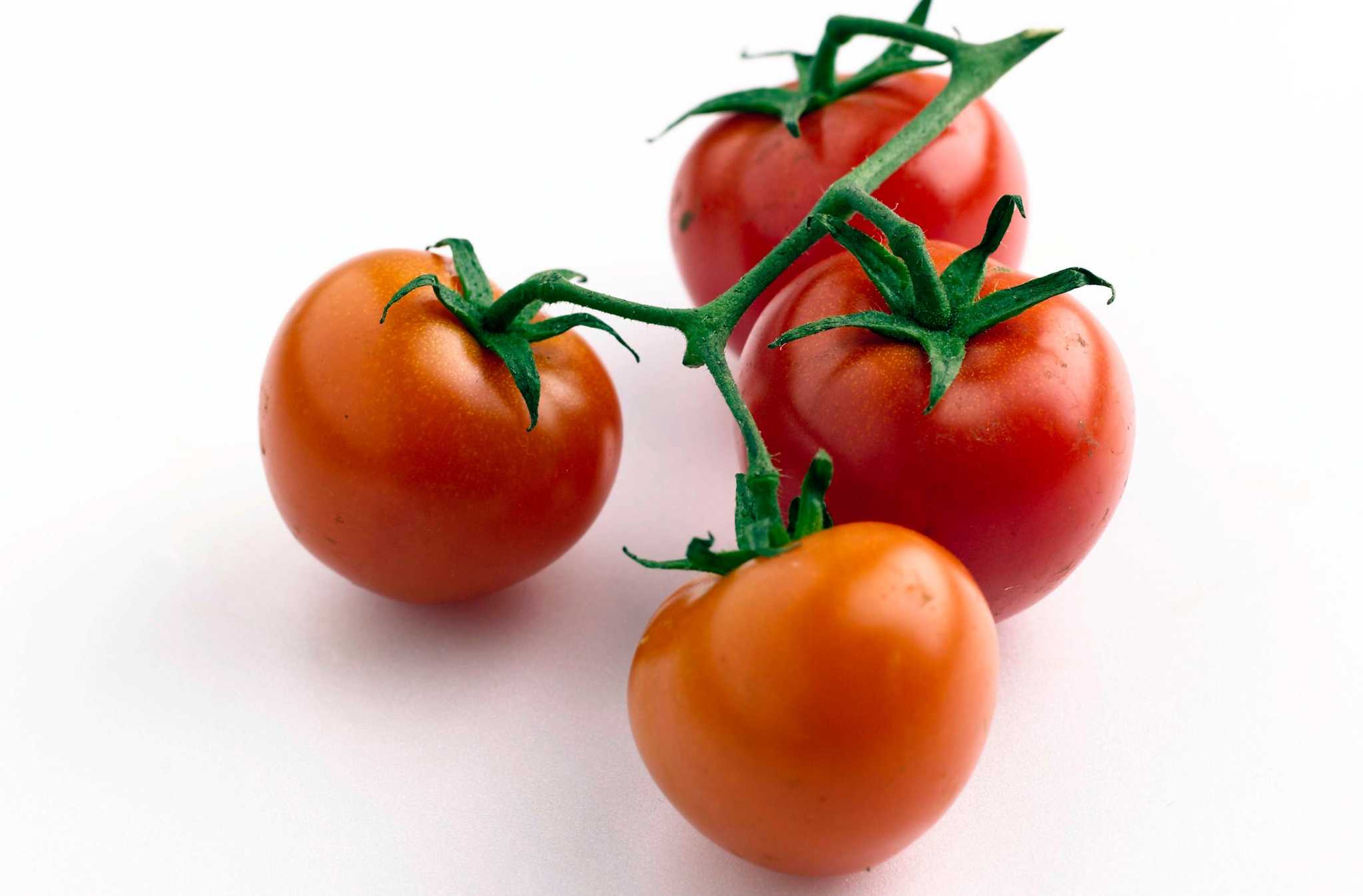 How to Grow Tumbling Toms