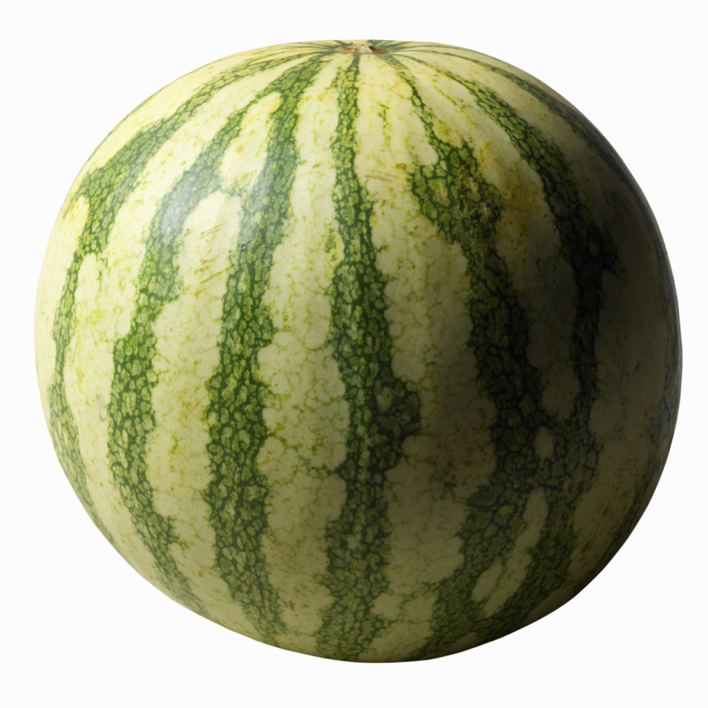 Why Does Watermelon Rot on the Bottom?