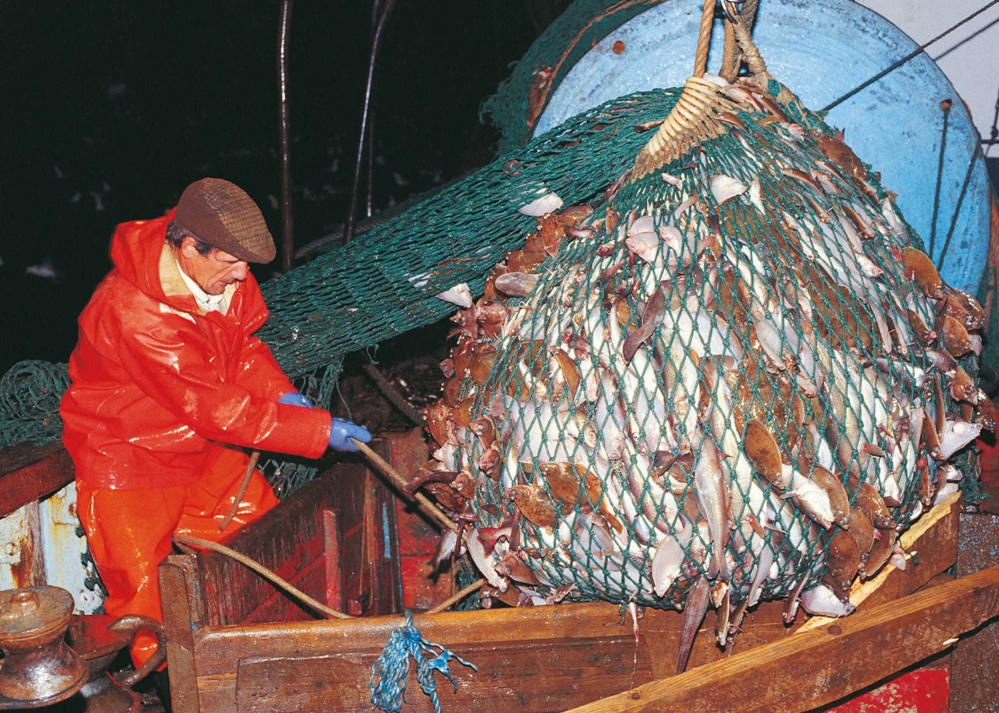 What Challenges Can Result From Overuse of Renewable Resources?