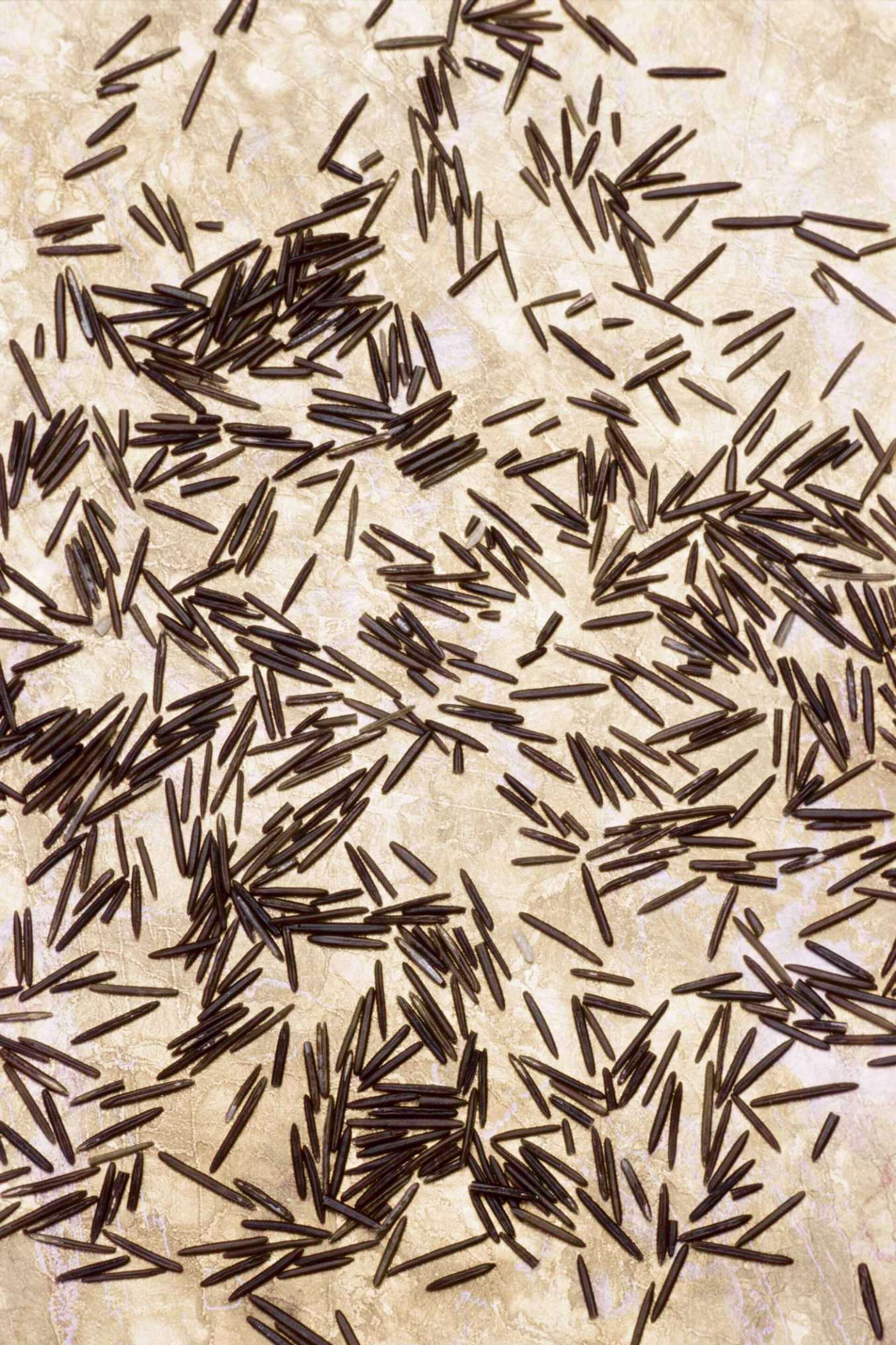 How to Grow Wild Rice in a Drainage Ditch