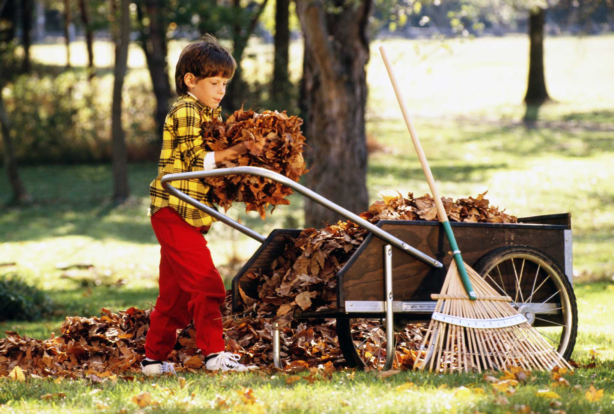 What Happens If You Don't Rake Leaves?